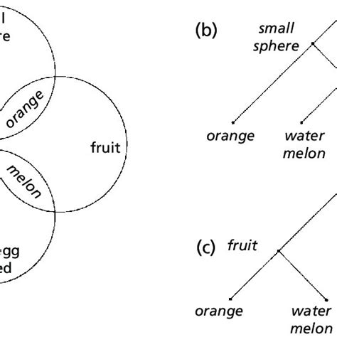 overlapping subsets a partitions of the items {tennis ball orange