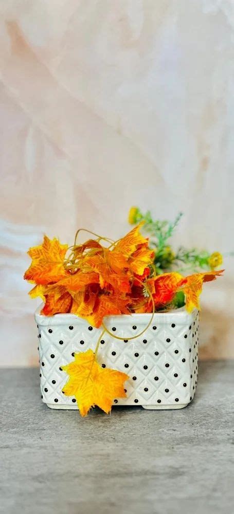 Rectangular Ceramic Flower Pot At Rs 230 In New Delhi Id 2854914556691