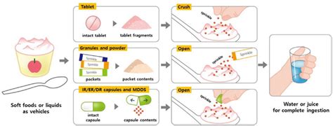 General Administration Methods For The Sprinkle Drug Products In Download Scientific Diagram