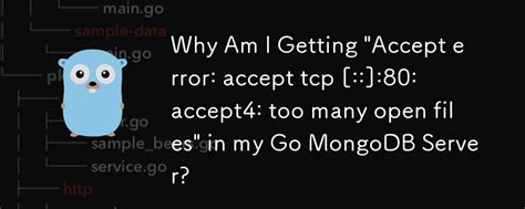 為什麼我的 go mongodb 伺服器中出現「接受錯誤：接受 tcp [ ] 80 accept4 開啟檔案太多」？ golang php中文網