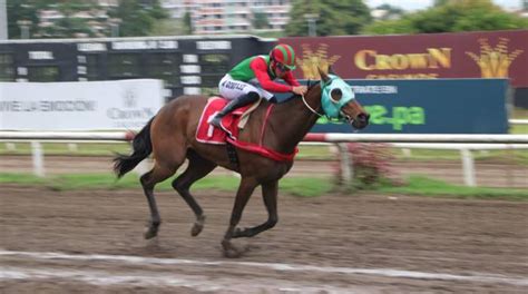 Antony González Exitoso Jinete Que Actúa En El Hipódromo Presidente Remón