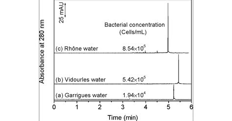 Simultaneous Electrokinetic And Hydrodynamic Injection For High Sensitivity Bacteria Analysis In