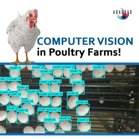 Adagrad Ai On Linkedin Computervision Adagrad Poultryfarming