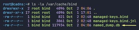 Linux Dns Server Configuration Detailed Guide 2025