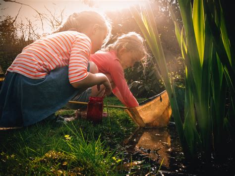 Summary Institute For Learning And Brain Sciences I Labs