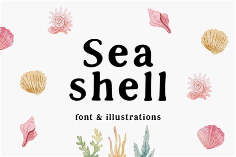 sea shell font by julia volkova · creative fabrica