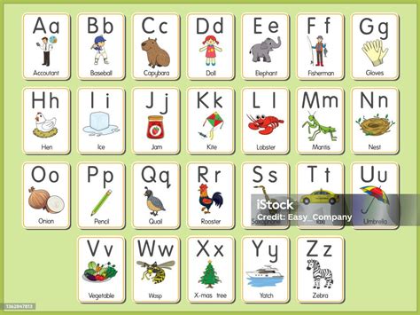 알파벳 플래시 카드 Az 어퍼 케이스 또는 초보자 Abc를위한 소문자의 벡터 그림 사전에 대한 스톡 벡터 아트 및 기타 이미지 사전 알파벳 플래시카드 Istock