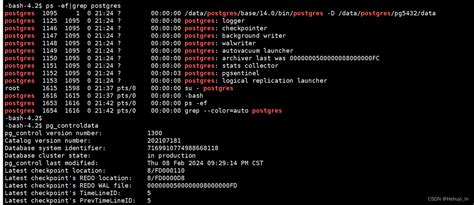 Postgresql 手动清理wal日志的101个坑wal日志清理 Csdn博客