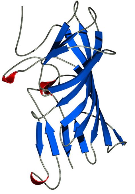 Structure Of The N Terminal Domain And Comparison With Download