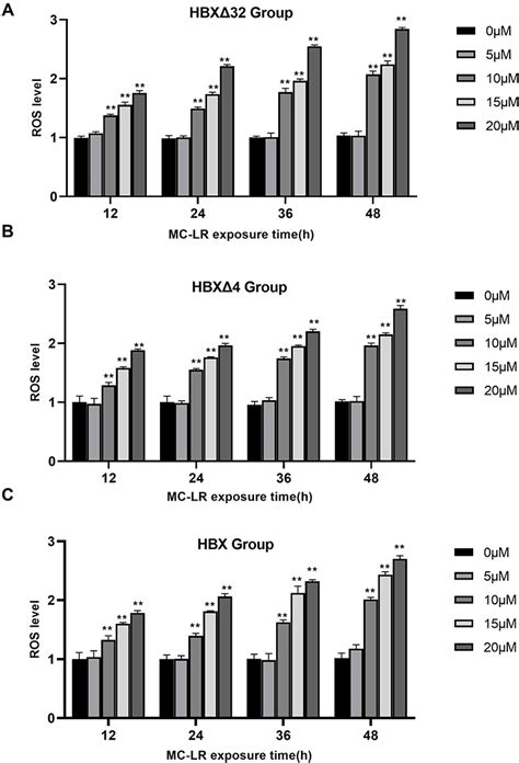 Abnormal Proliferation Of Hepatocytes Associated With Mc Lr Jhc