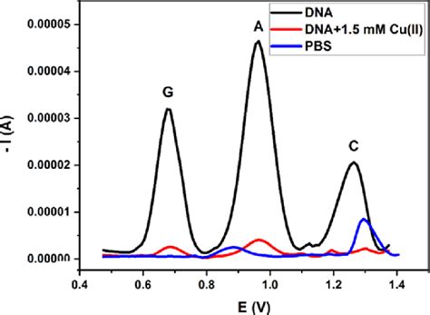 Dps Voltammograms Of Pbs Dsdna And Cuii Dsdna Solutions Obtained