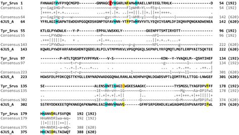 Results Of Hhpred Search Pairwise Alignment And Alignment Of Consensus