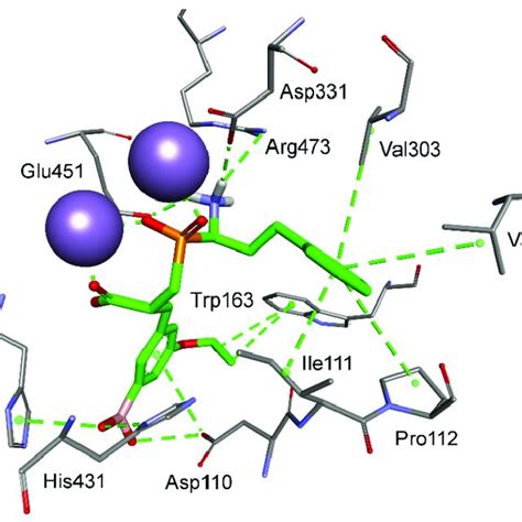 Generalized Docking Scheme Hvts High Throughput Virtual Screening