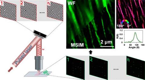 使用多焦点结构照明显微镜进行超分辨率二次谐波成像nano Letters X Mol