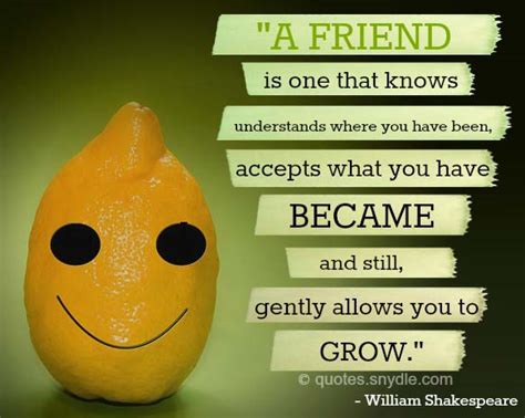 Inspirational Friendship Quotes And Sayings With Images Quotes And