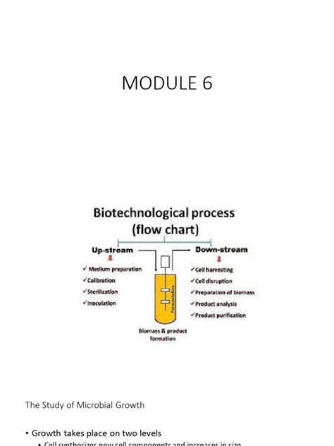 Module 6 Bioprocess Development Pdf Logarithm Biology