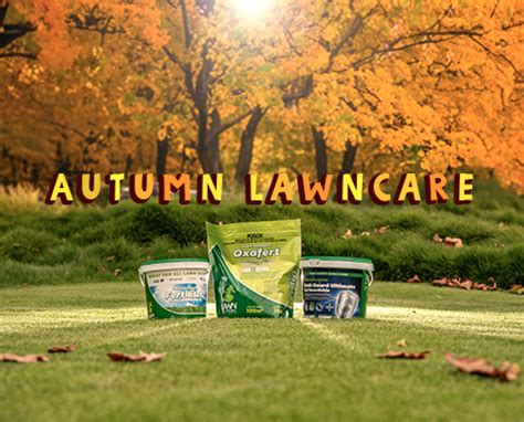 Rye Grass Removal And Oversowing Lawn Solutions Australia