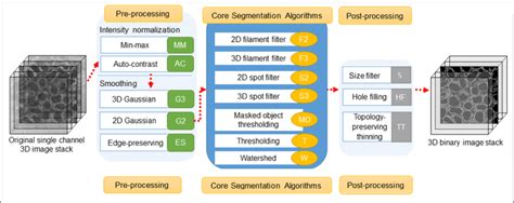 allen cell segmenter — napari segmentation learning course