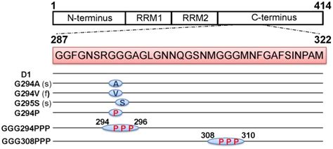 The Sequences Of Tdp 43 C Terminus Peptides Residues 287 322