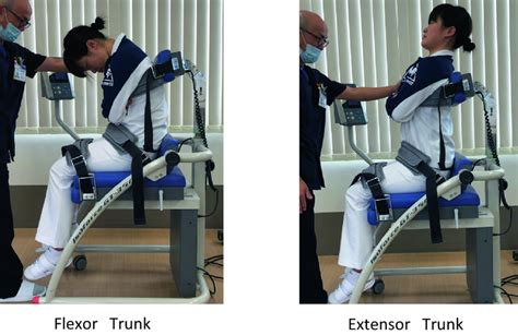 Physical Measurements Of The Trunk Muscle Strength The Strengths Of Download Scientific