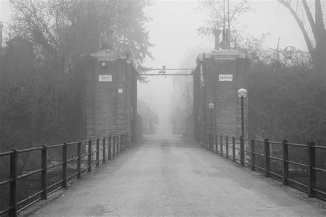 무료 이미지 눈 겨울 검정색과 흰색 안개 도로 화이트 거리 아침 골목 날씨 이탈리아 어둠 검은 단색화 레인 모양 메스 트레 포르테 메가