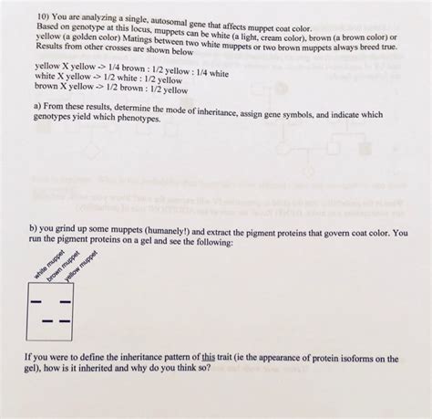 Question 10 You Are Analyzing A Single Autosomal Gene That Affects