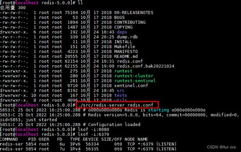 如何运用java代码操作redisjava 连接redis获取值 Csdn博客
