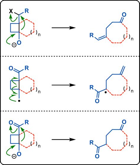 Fragmentation Strategies For 2 2 Photocycloaddition Adducts Top Download Scientific