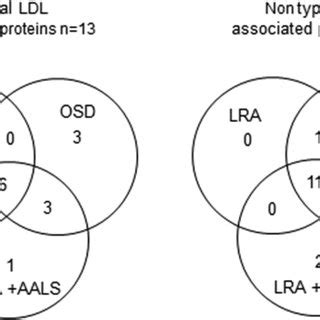 Ldl Vs Hdl Venn Diagram Structure Hdl Ldl Cell Differences B