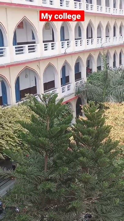 My College ️mohdhasan Post Graduate College Jaunpur ️ Tredingshorts Youtube