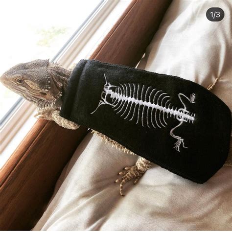 Bearded Dragon Skeleton Cape Halloween Costume Etsy