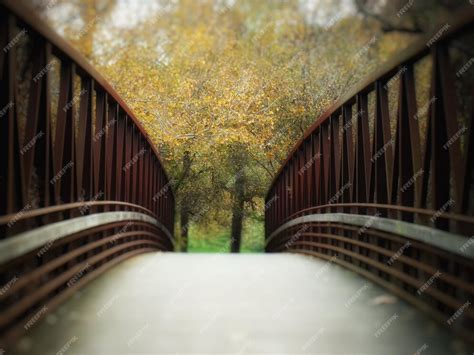 Premium Photo Surface Level Of Footbridge Along Railings
