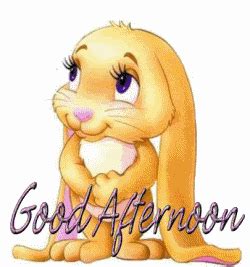 Top99 Good Afternoon S Images Greetings Pictures