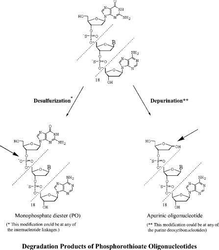 Phosphorothioate