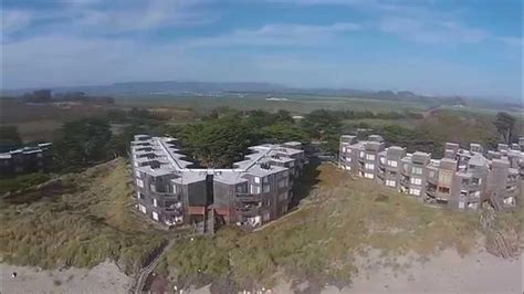 Pajaro Dunes Shorebirds From Above Youtube