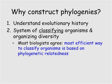 Ppt Phylogenies And Classifying Species Aka Cladistics And Taxonomy Powerpoint Presentation Id