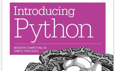 Introducing Python Modern Computing In Simple Packages King Of Excel