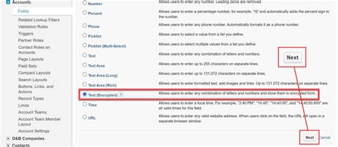 Salesforce Encrypted Field