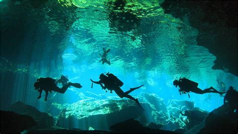 Cenote Diving The Best Dive Experience In Mexico 2023