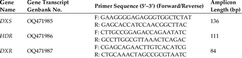 Primer Sequence Information For Target Genes In L Rotata Download