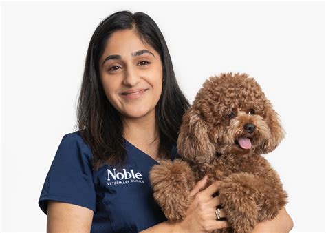 Understanding Dog Age In Human Years What Science Really Says