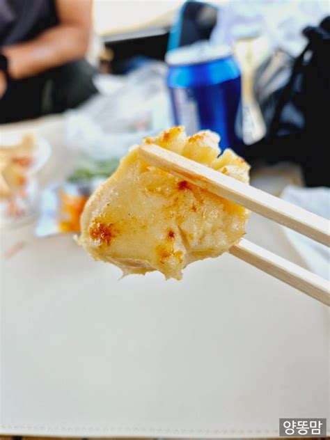 울산 노지캠핑 울주군 봉계 캠크닉 차박 장소 추천 네이버 블로그