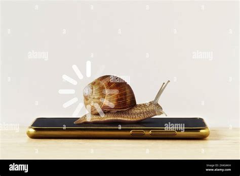 Snail With Loading Sign On Smartphone Concept Of Slow Internet Speed Snail With Loading Sign On Smartphone Concept Of Slow Internet Speed