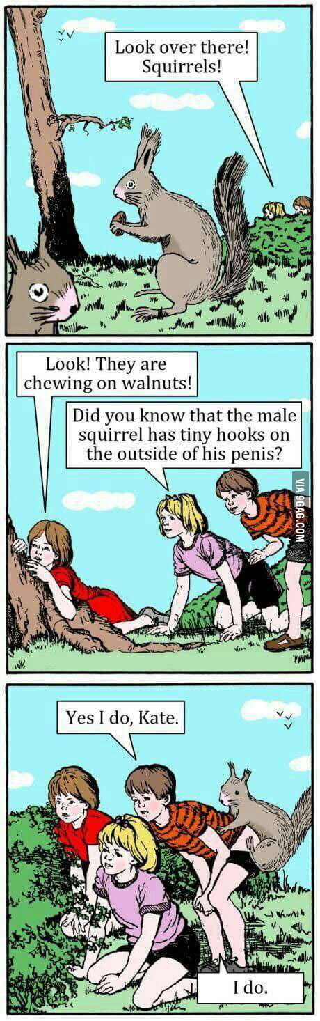 Fun Fact About Squiwels GAG