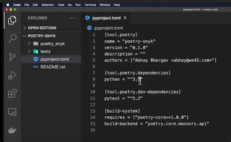 Python Poetry Support With Snyk Cli Snyk