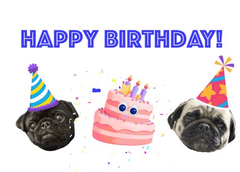 Happy Birthday Happy Birthday Pug  Happy Birthday Happy Birthday