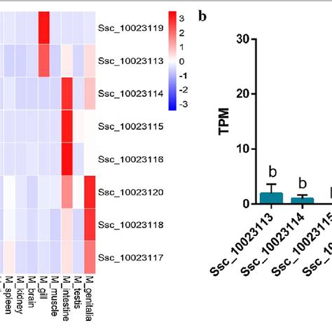 Tissue Expression Pattern Of Bdkrb2 Genes A Heatmap Was Constructed By
