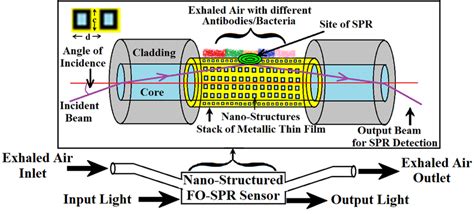 Proposed Nanostructured Au Ag Metamaterial Spr Based Fiber Optic Sensor Download Scientific