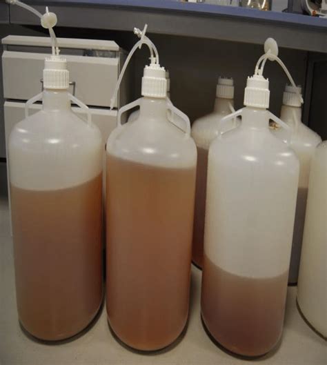 Spent Fermentation Broth Sfb With Approximately 8 Ethanol From
