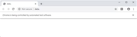 C Seleniumwebdriverchromedriver Slow To Launch Why Stack Overflow